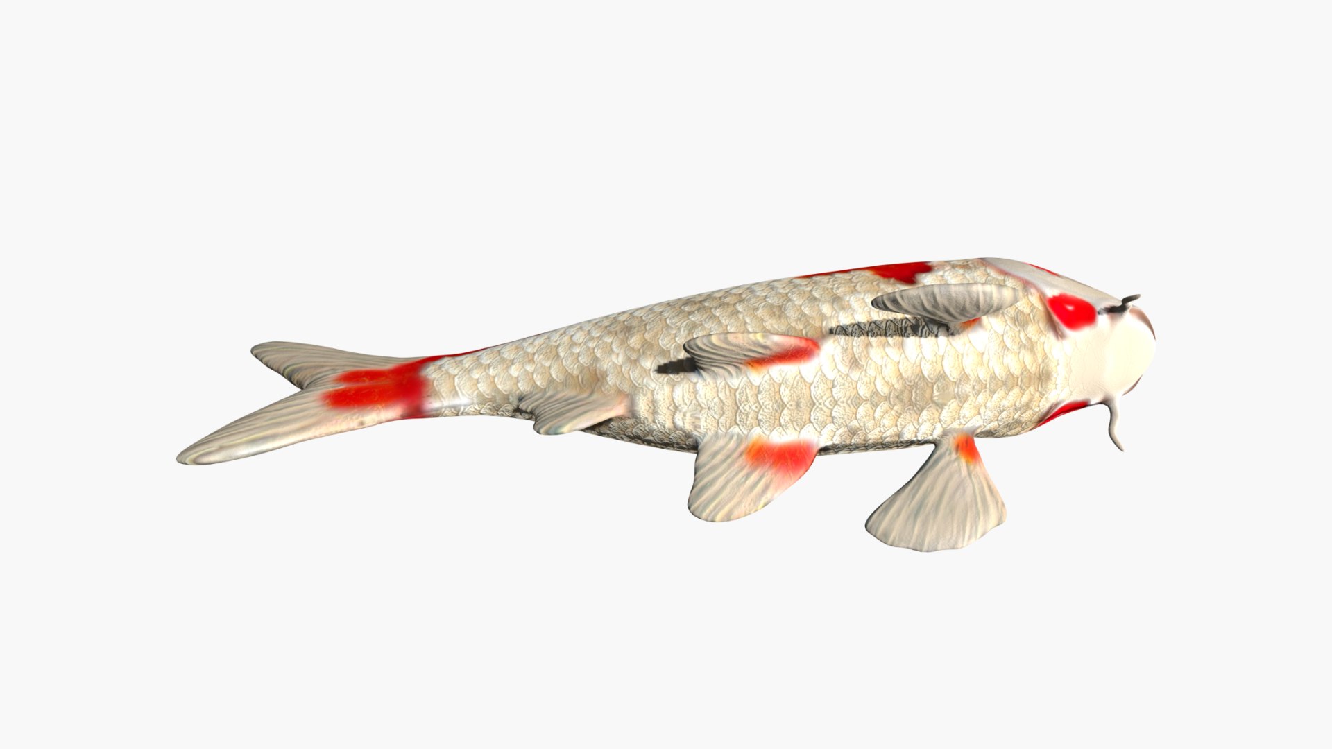 Fully Rigged Low Poly Koi Fish 3D Model - TurboSquid 1756856