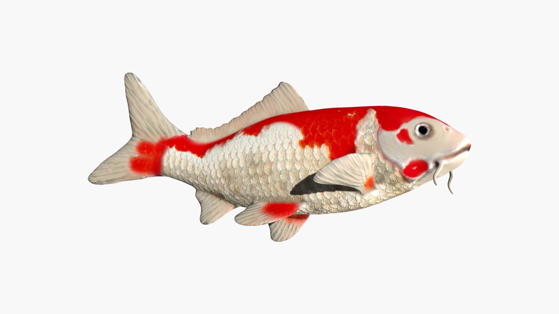 Fully Rigged Low Poly Koi Fish 3D Model - TurboSquid 1756856