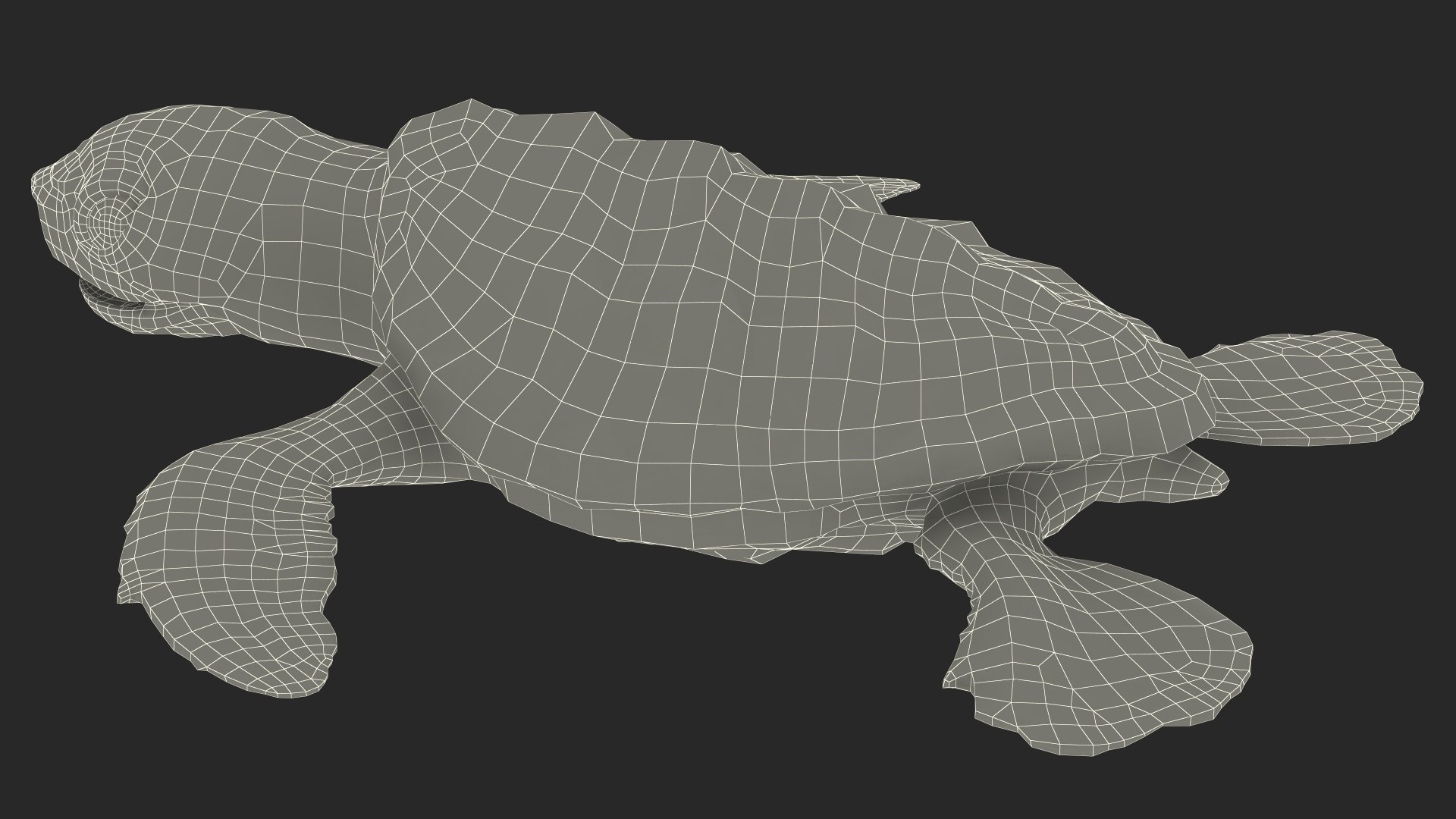 Baby Sea Turtle Gray 3D Model - TurboSquid 2202038