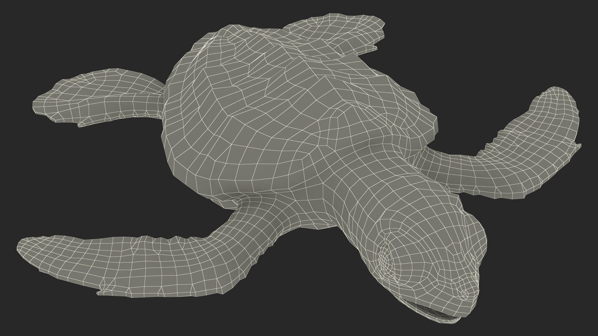 Baby Sea Turtle Gray 3D Model - TurboSquid 2202038