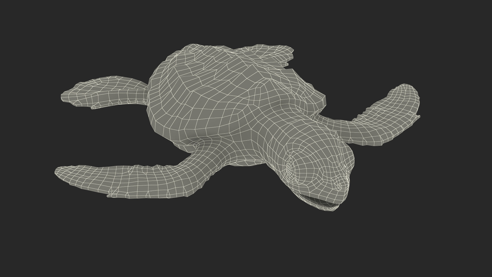 Baby Sea Turtle Gray 3D Model - TurboSquid 2202038