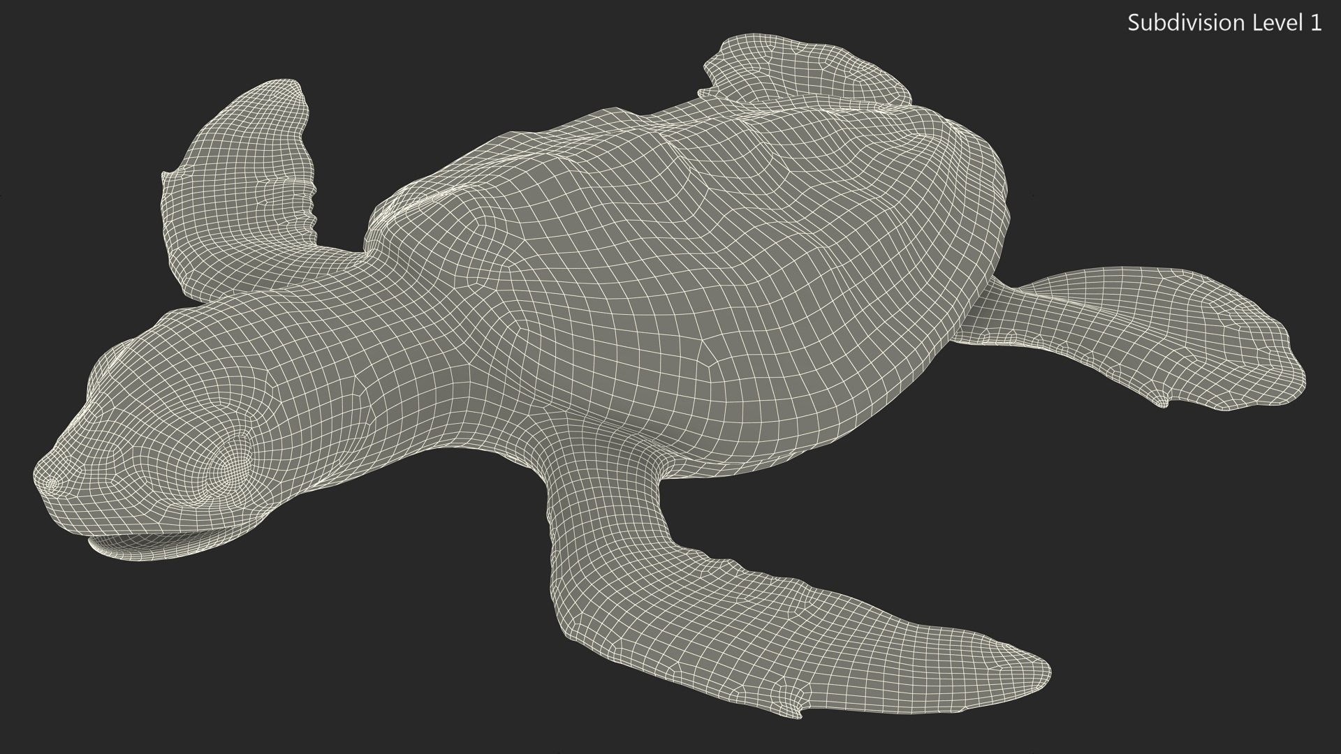 Baby Sea Turtle Gray 3D Model - TurboSquid 2202038