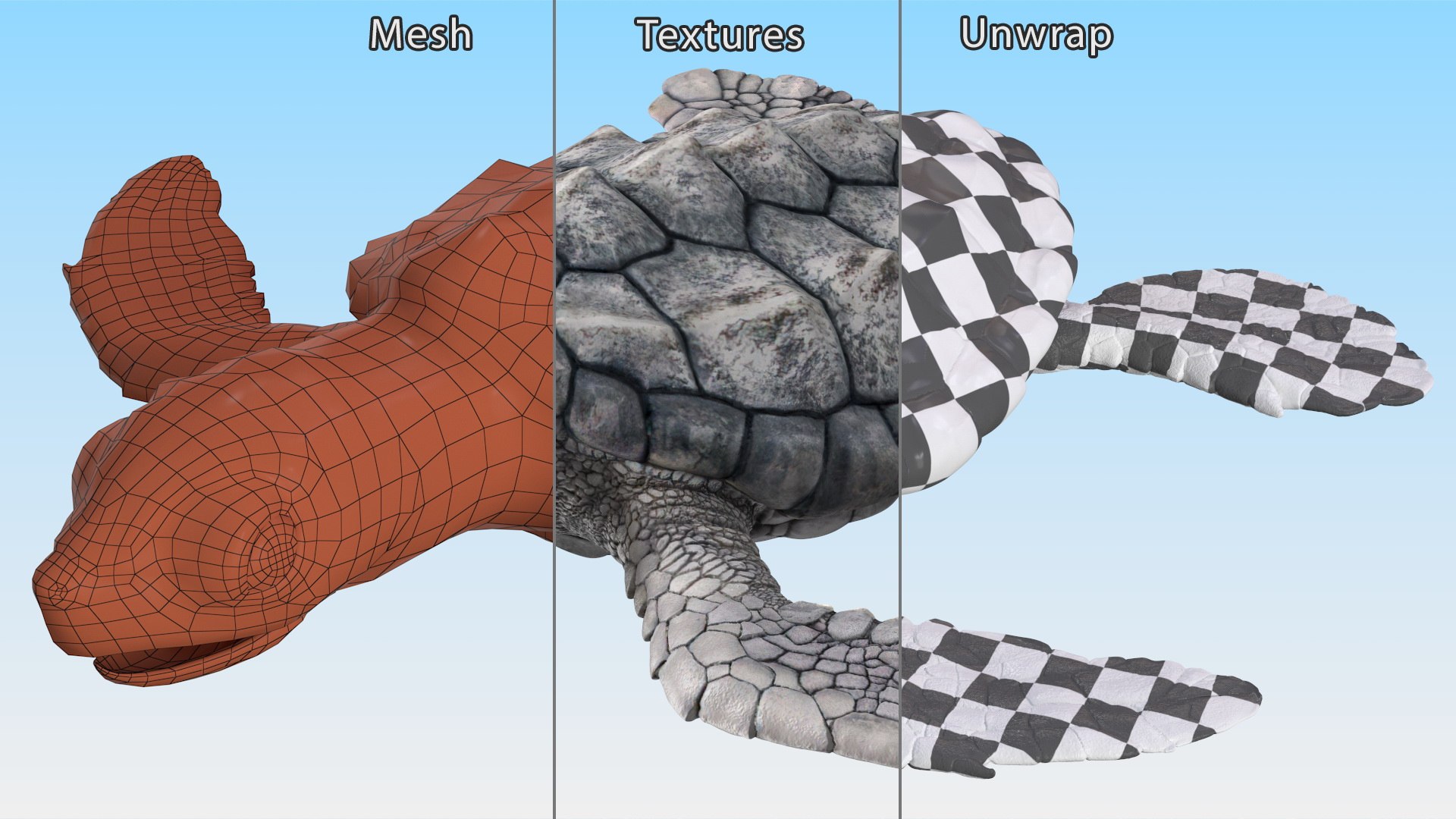 Baby Sea Turtle Gray 3D Model - TurboSquid 2202038