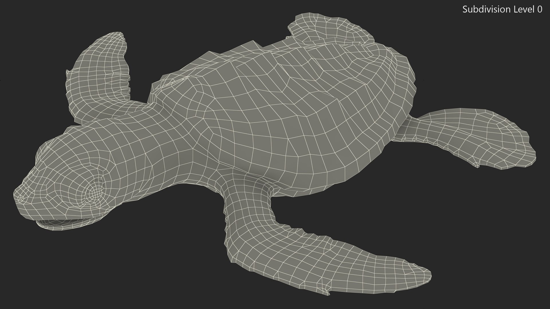 Baby Sea Turtle Gray 3D Model - TurboSquid 2202038