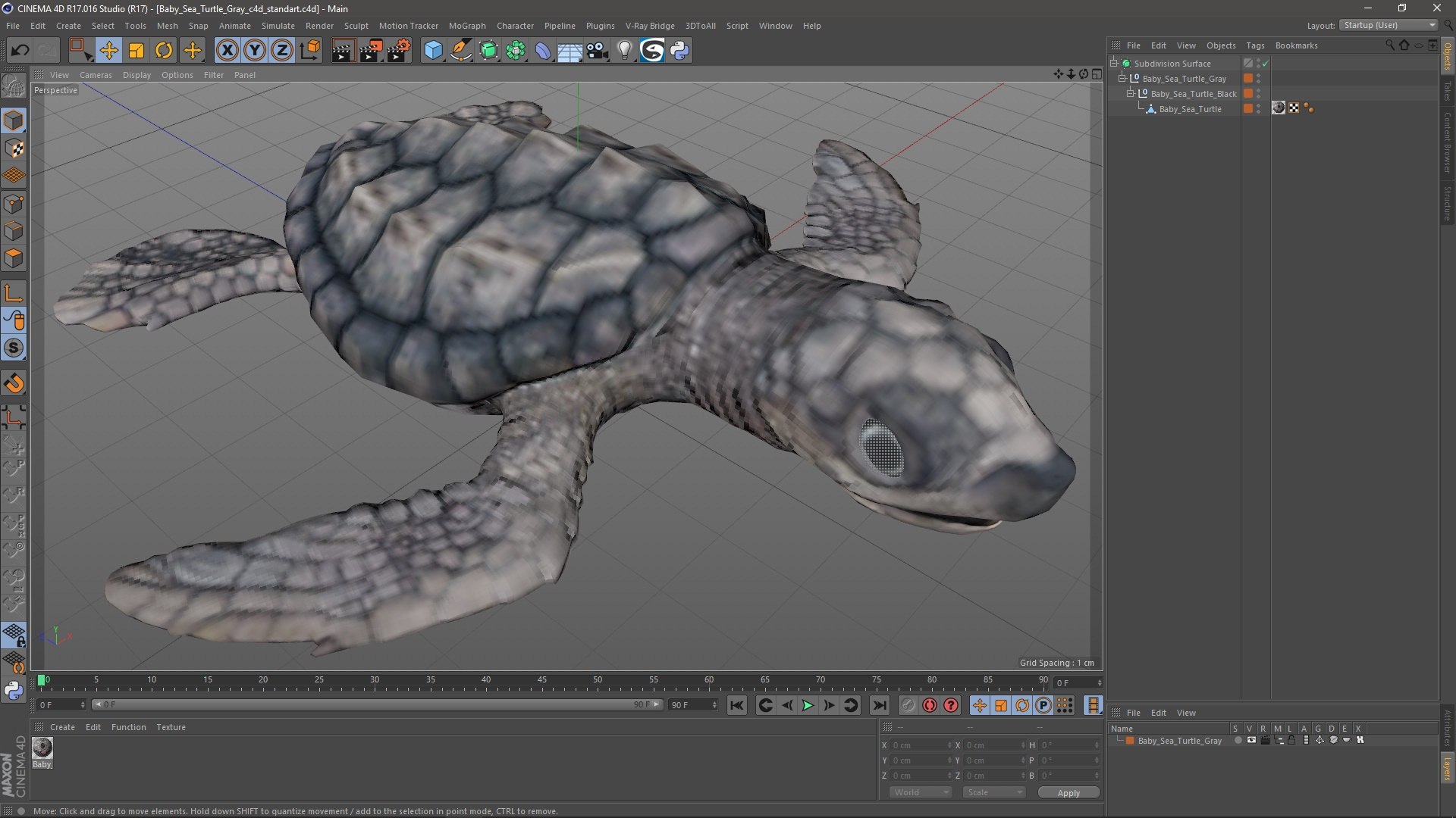 Baby Sea Turtle Gray 3D Model - TurboSquid 2202038