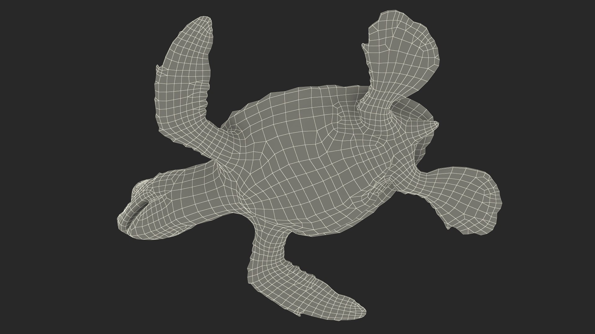 Baby Sea Turtle Gray 3D Model - TurboSquid 2202038