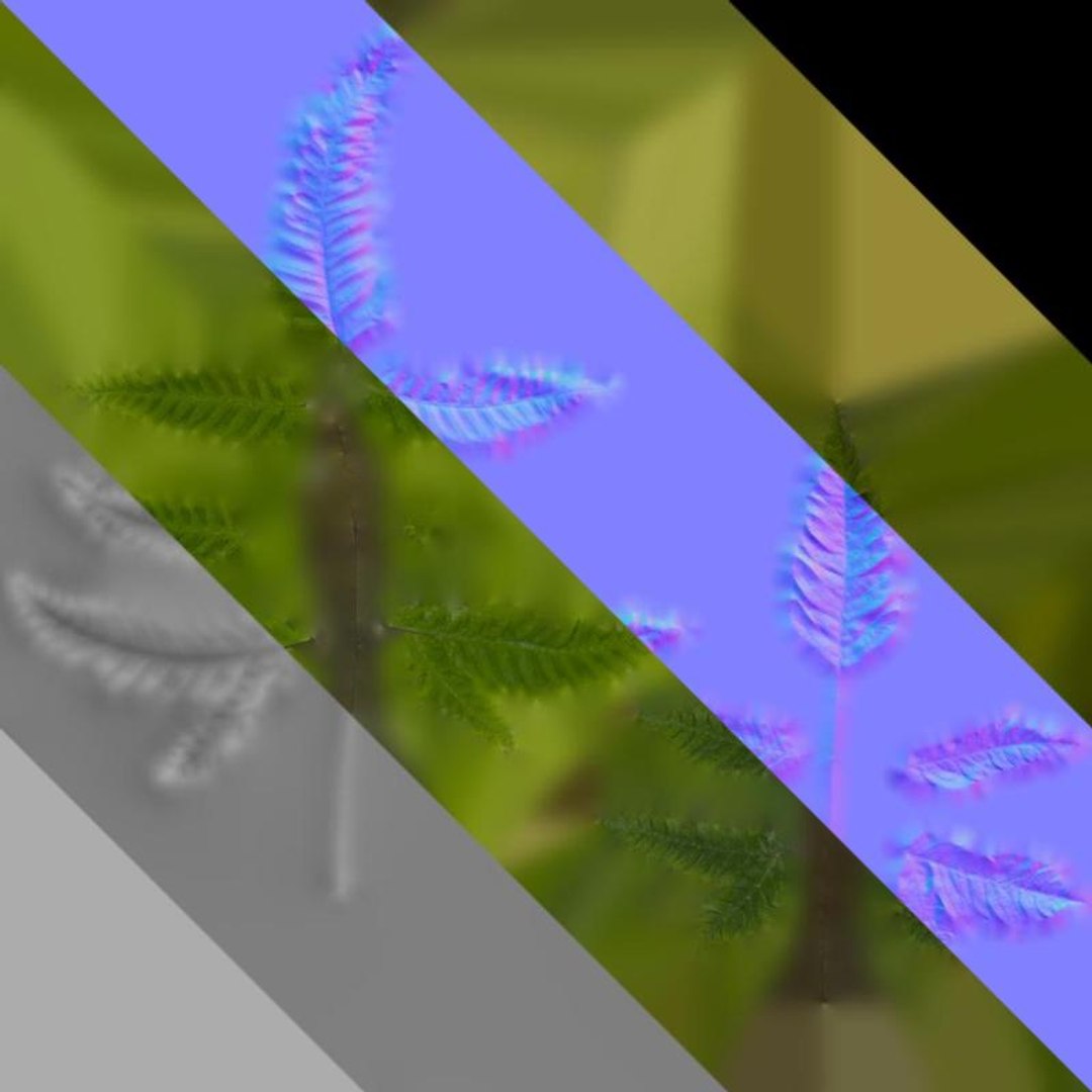 Anydrafts Pteris Fauriei Leaf 01 Textures 3D Model - TurboSquid 2351147