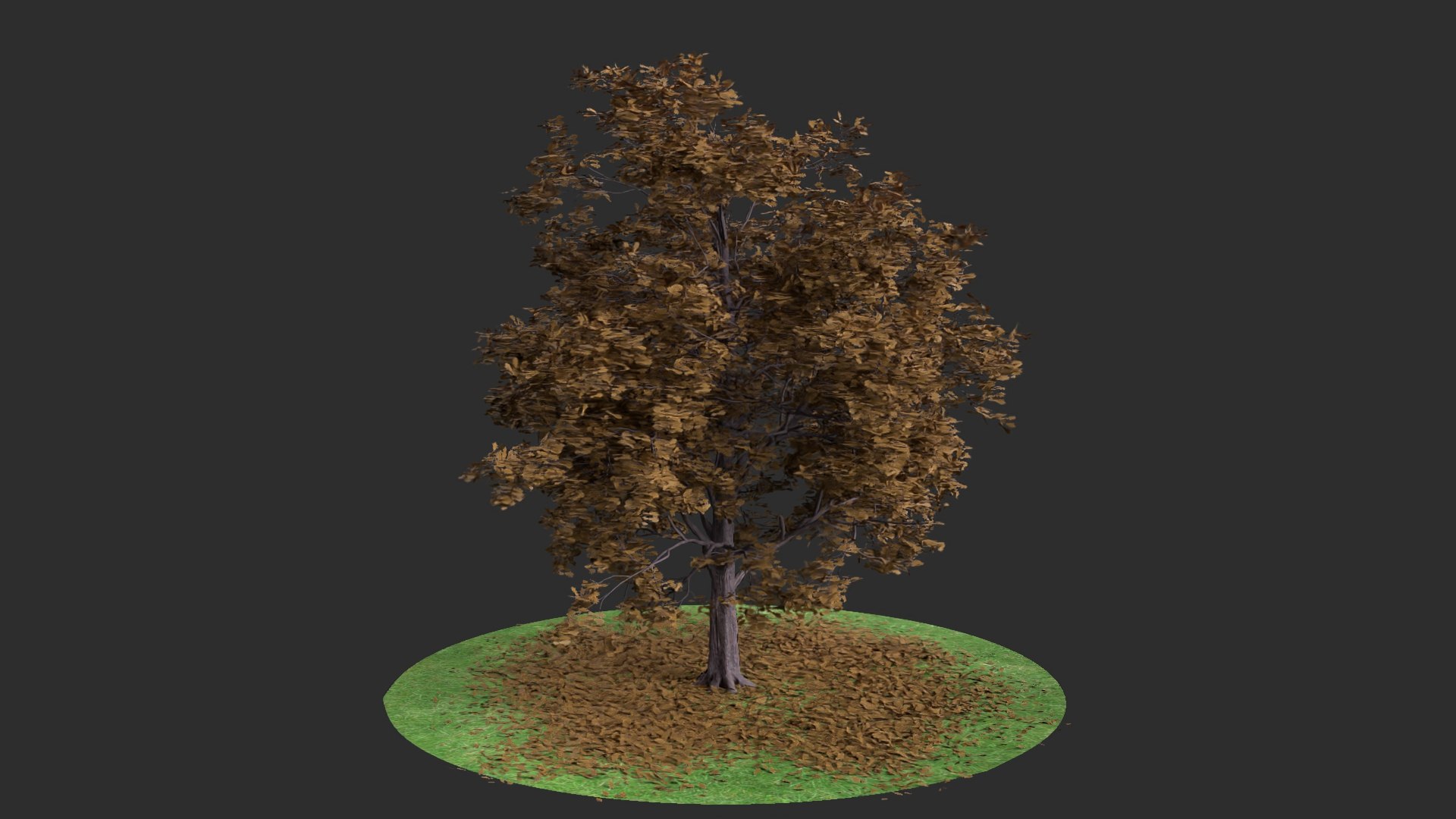 3D oak autumn hight - TurboSquid 1620174