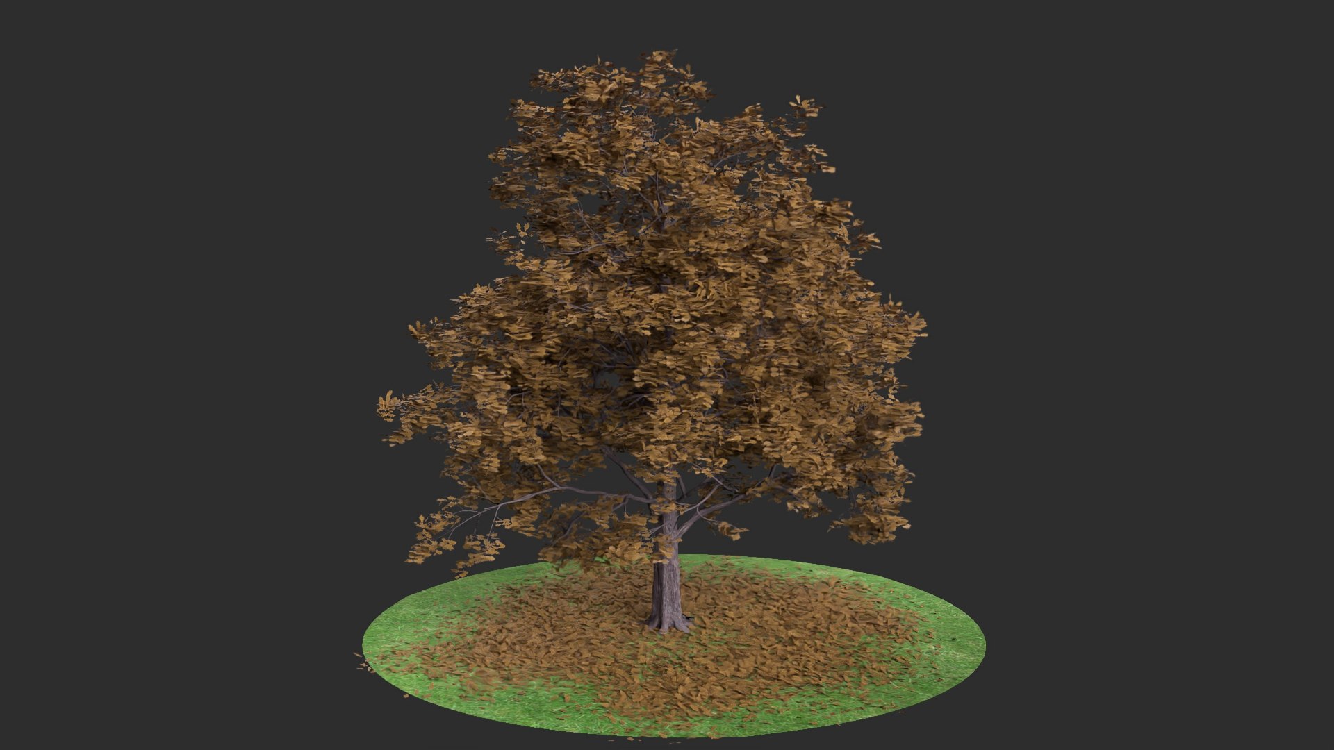 3D oak autumn hight - TurboSquid 1620174