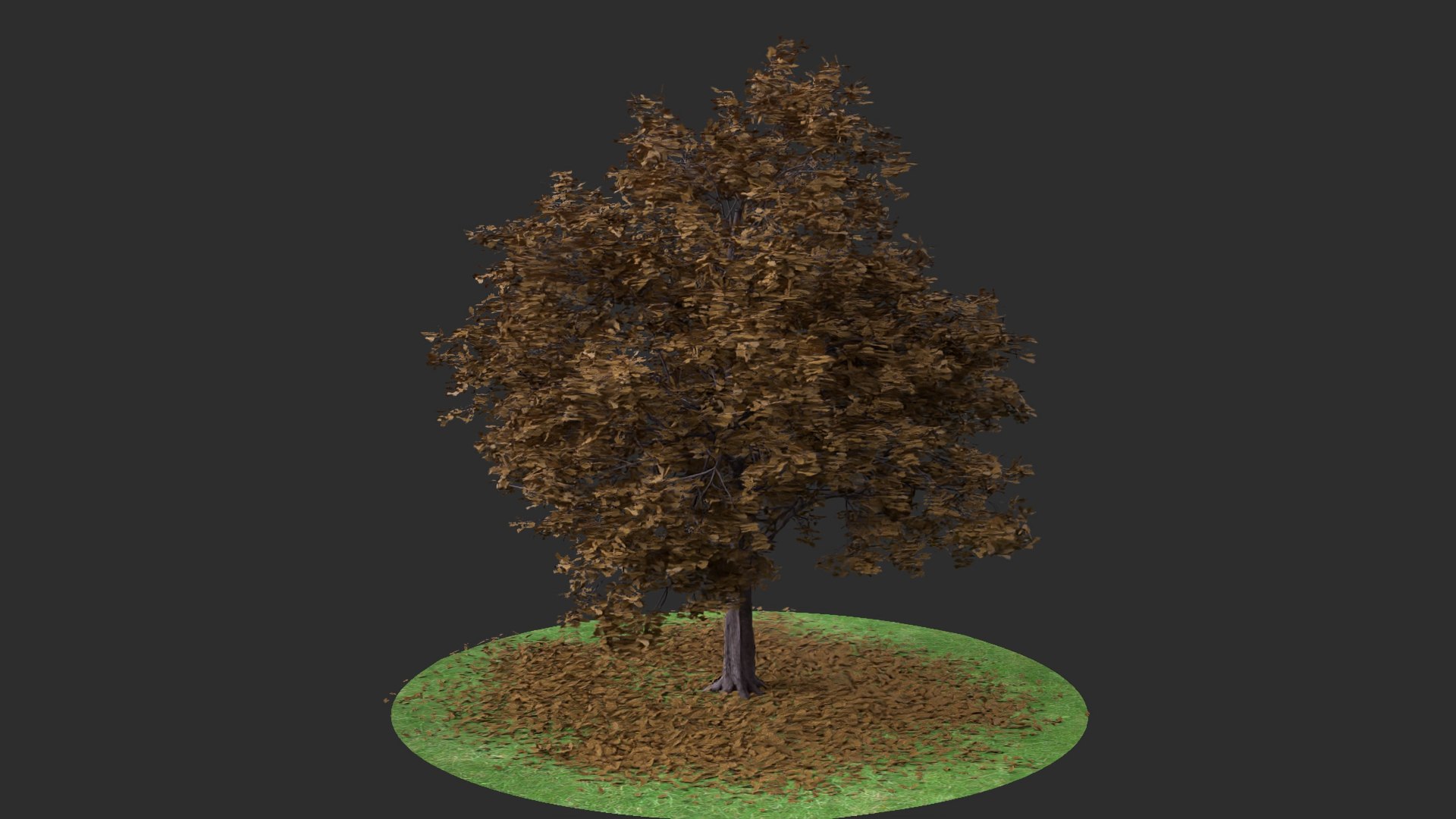 3D oak autumn hight - TurboSquid 1620174