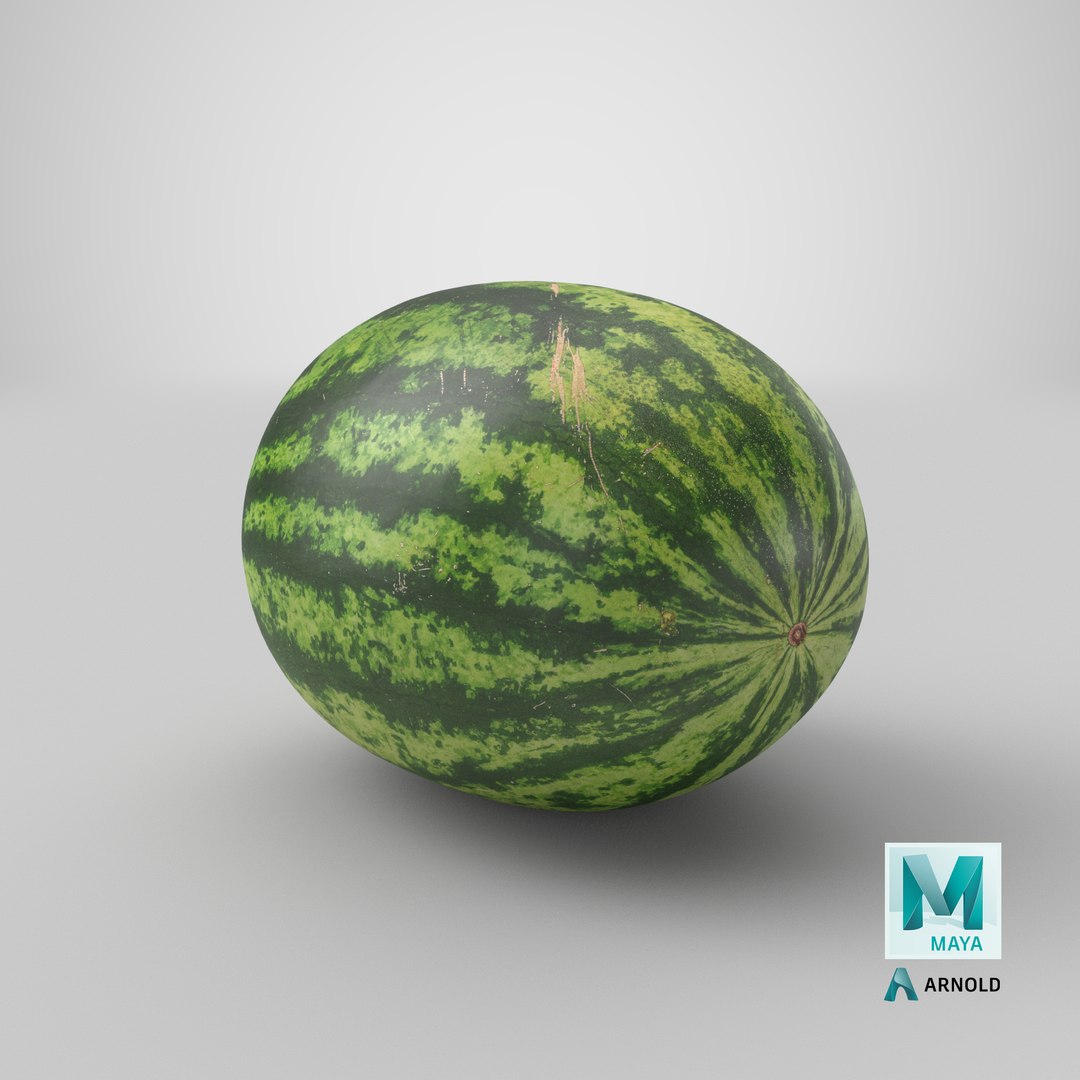 3D Watermelon model - TurboSquid 1816051