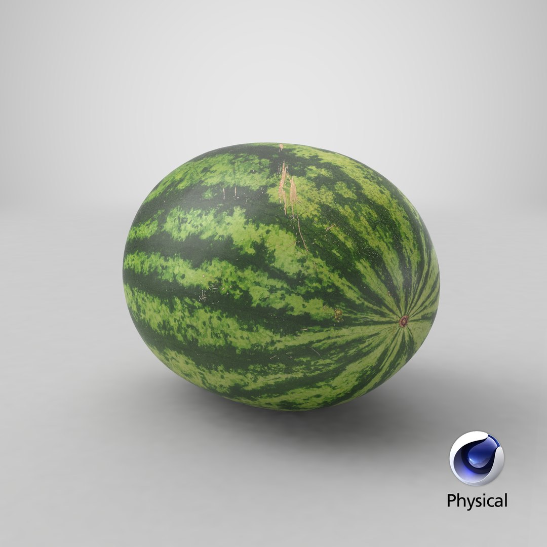 3D Watermelon Model - TurboSquid 1816051