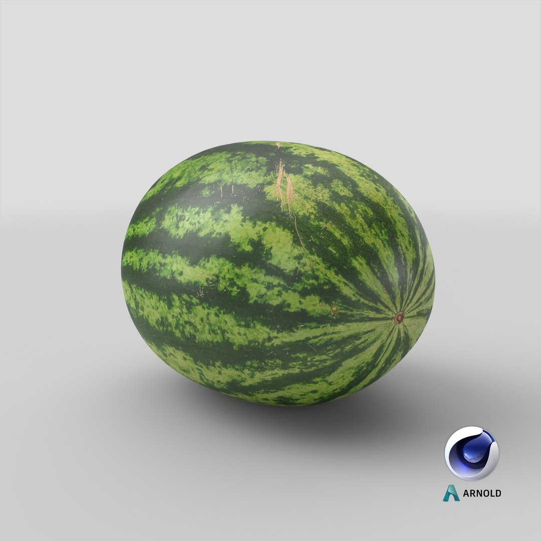 3D Watermelon Model - TurboSquid 1816051