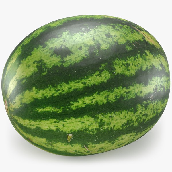 modelo 3d Sandía - TurboSquid 1816051