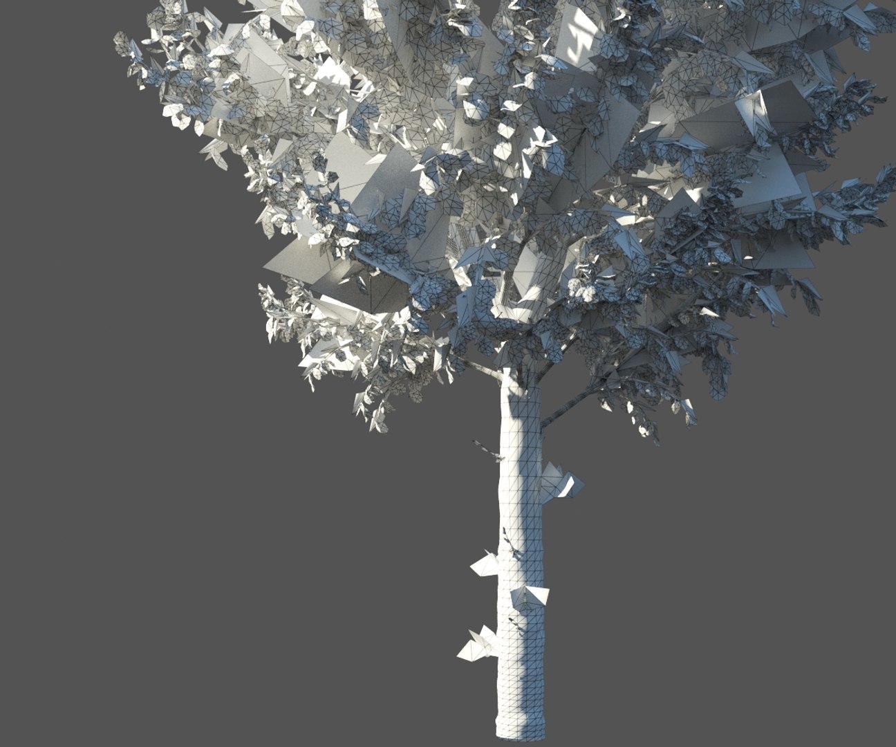Birch Tree Animation Wind Max