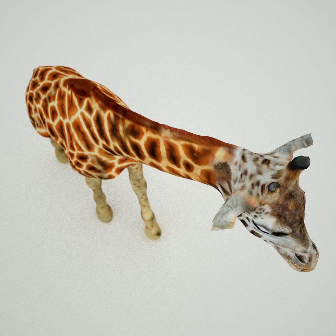 3d Model Of Giraffe