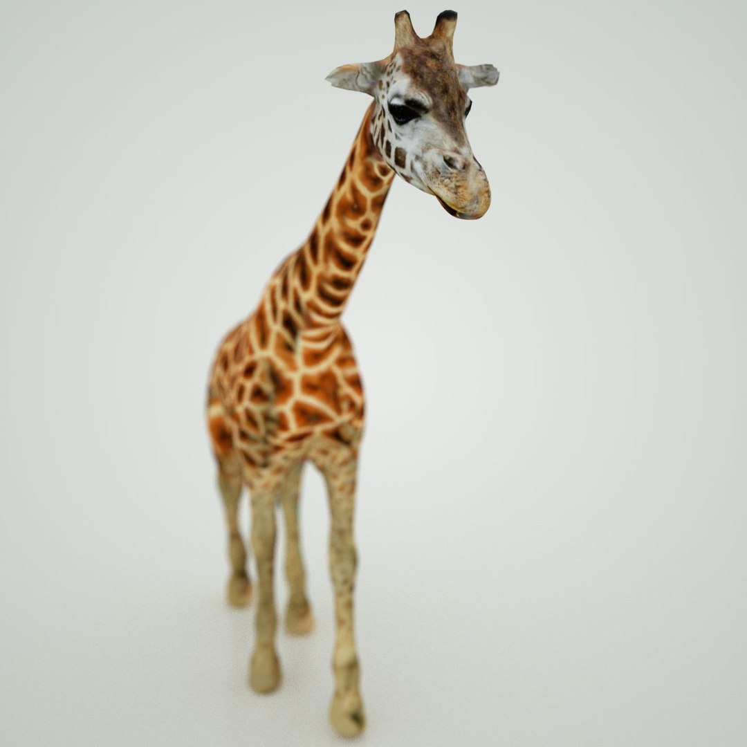3d Model Of Giraffe