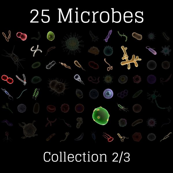 Bacteria 3D Models for Download | TurboSquid