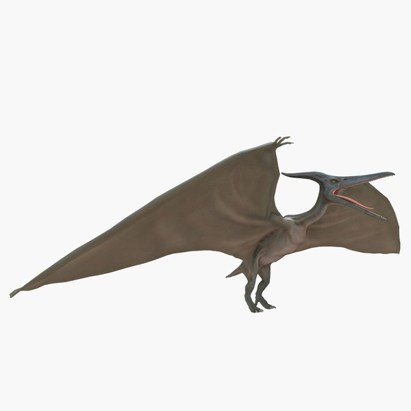 3d model dinosaurs rigged 2
