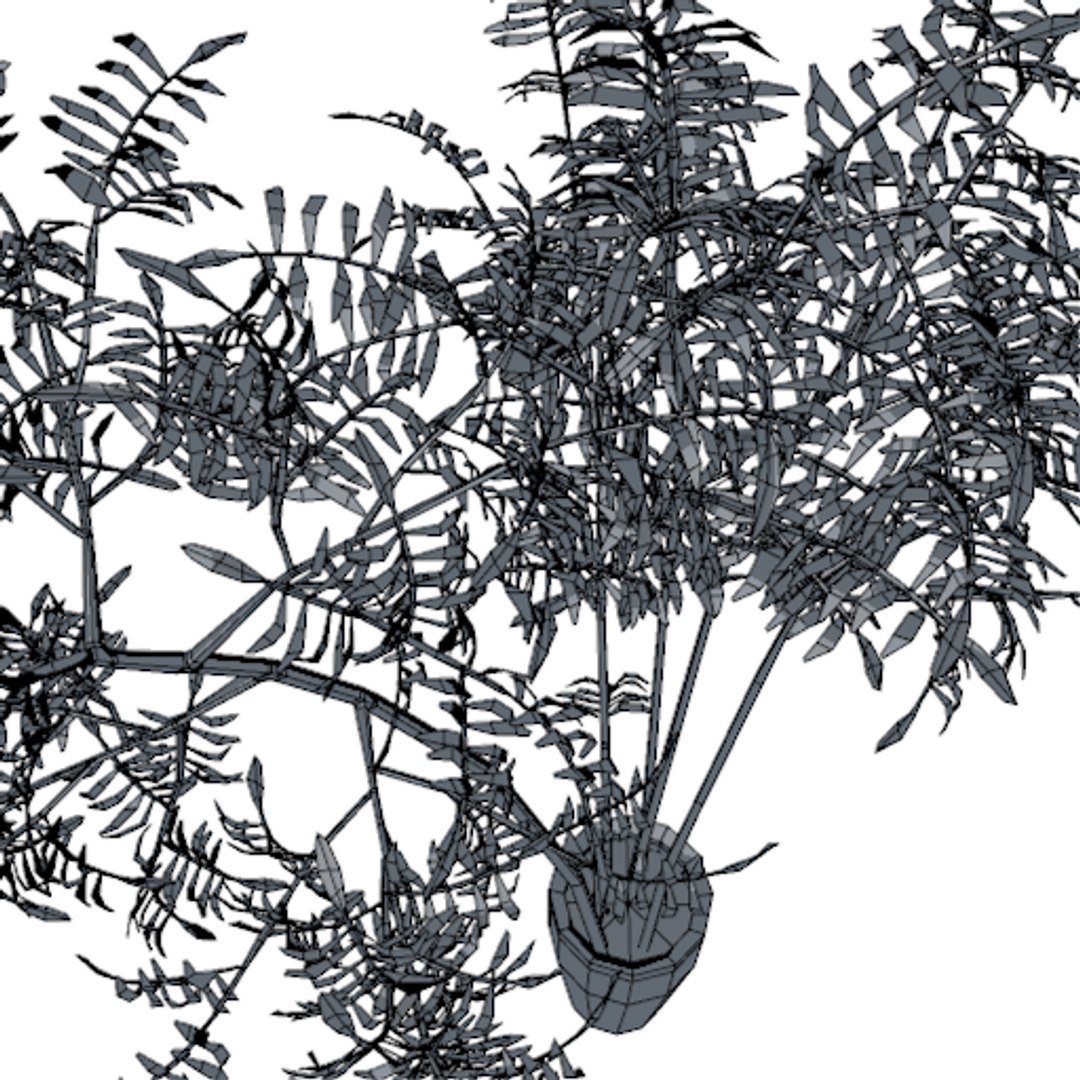 Bamboo Bushes 3d C4d