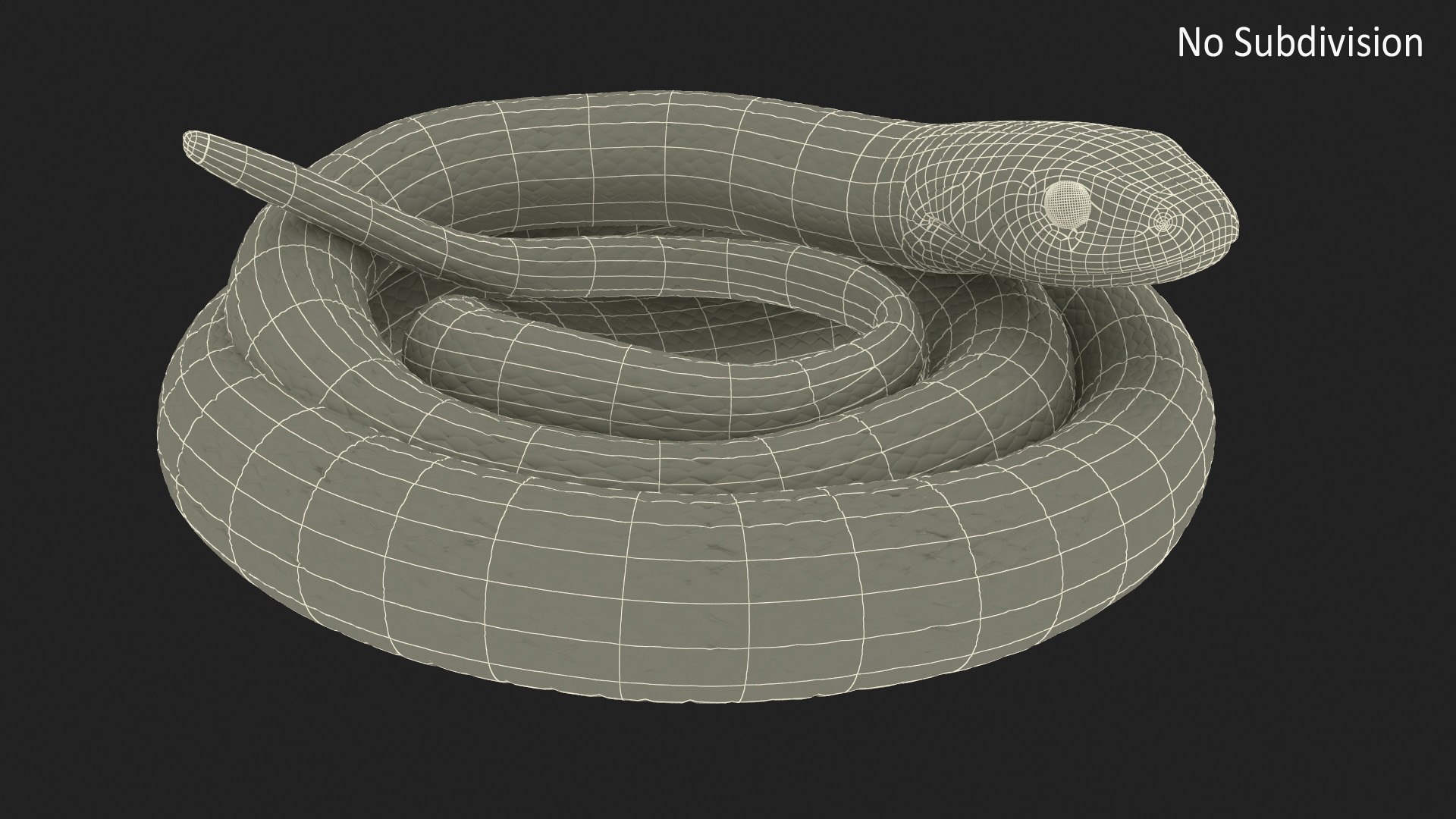 Ringed Snake Coiled 3D Model - TurboSquid 2247562