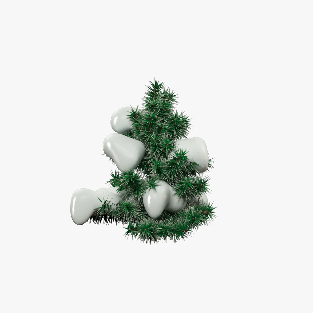 Snow Fir Tree 3d Max