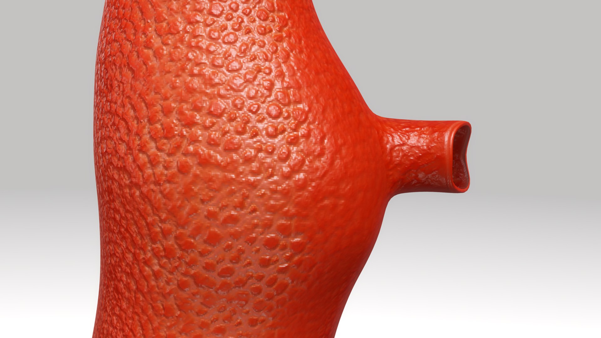 Mentula Species Tunicate 3d Obj