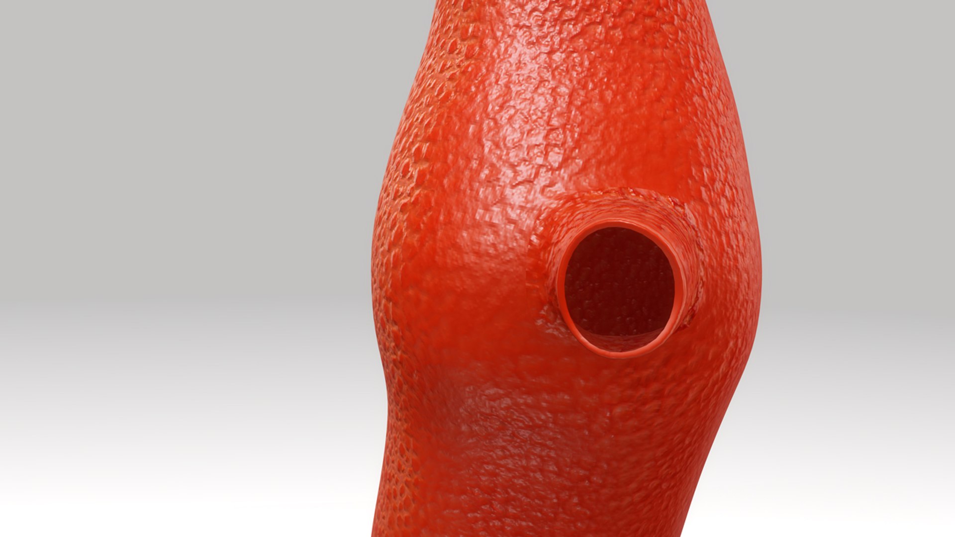 Mentula Species Tunicate 3d Obj