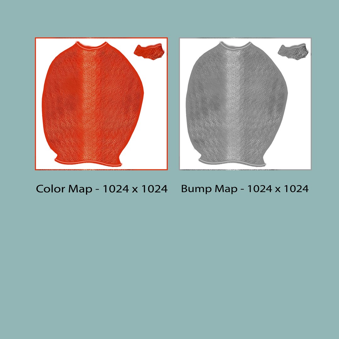 Mentula Species Tunicate 3d Obj