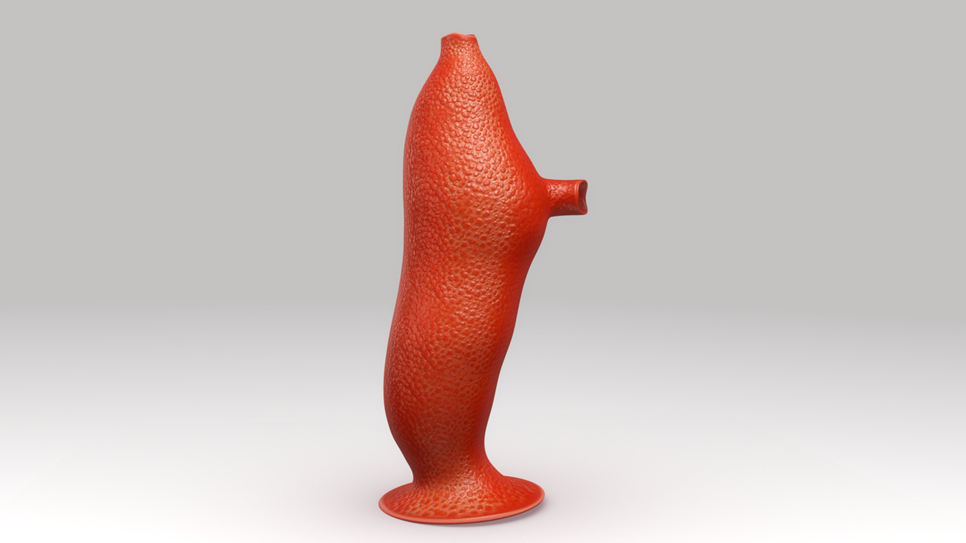 Mentula Species Tunicate 3d Obj