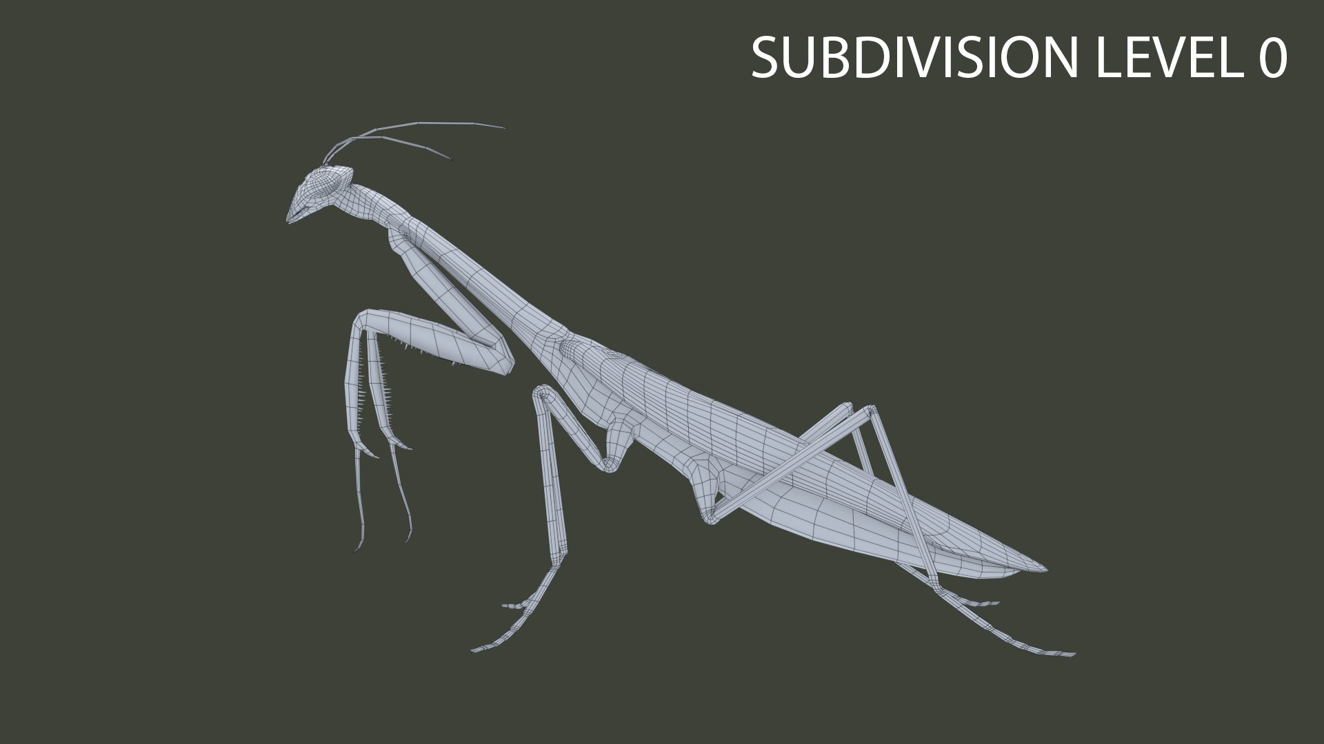 Praying mantis model - TurboSquid 1628791