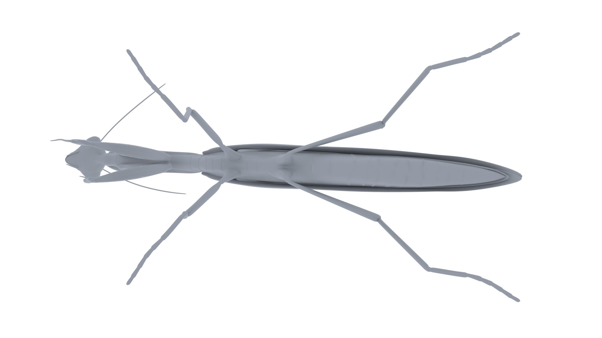 Praying mantis model - TurboSquid 1628791