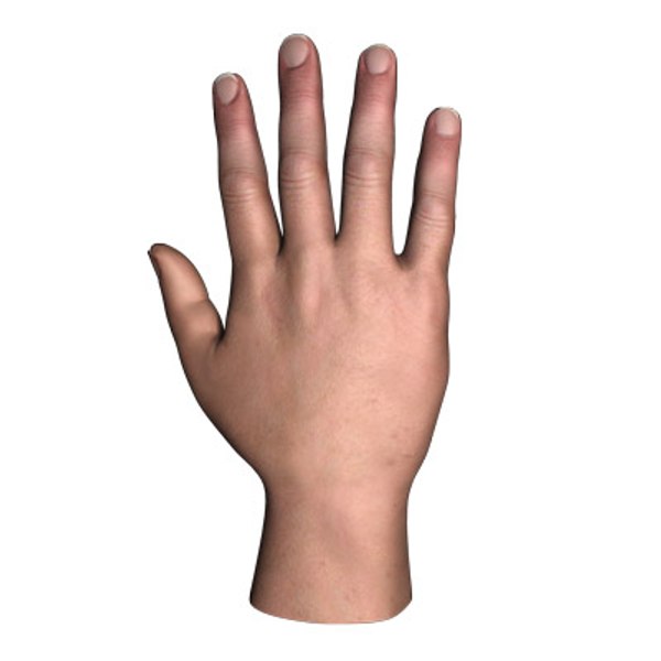 human hand 3d fbx