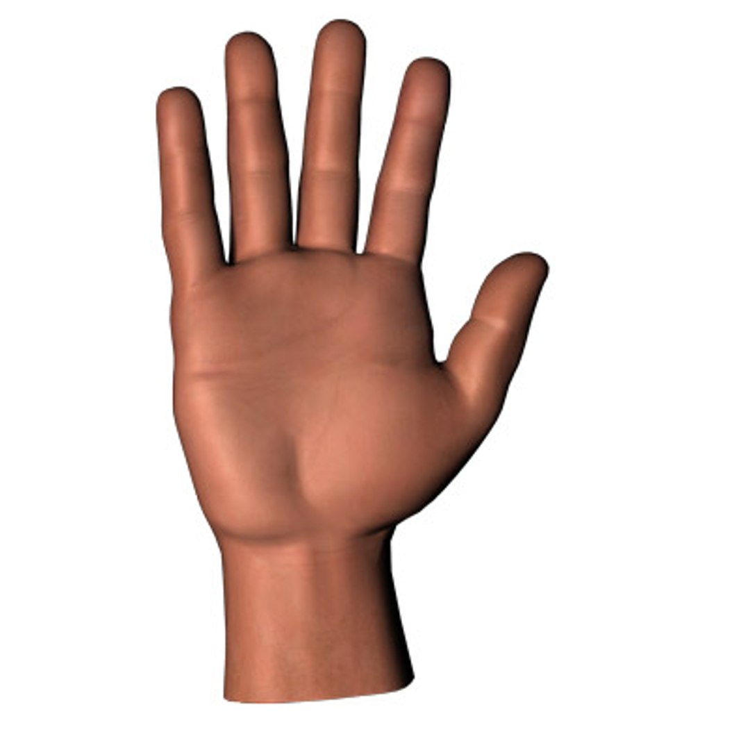 Human Hand 3d Fbx