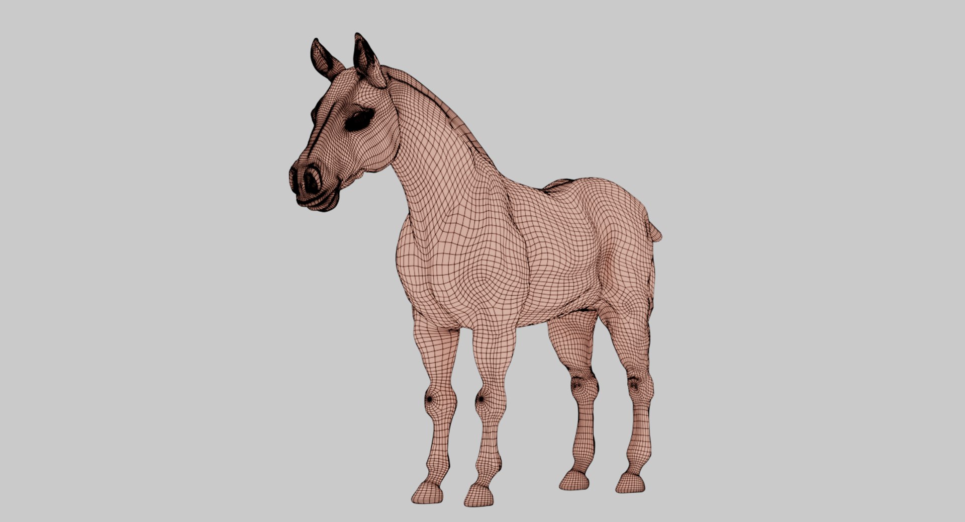 3D horse animation model - TurboSquid 1414937
