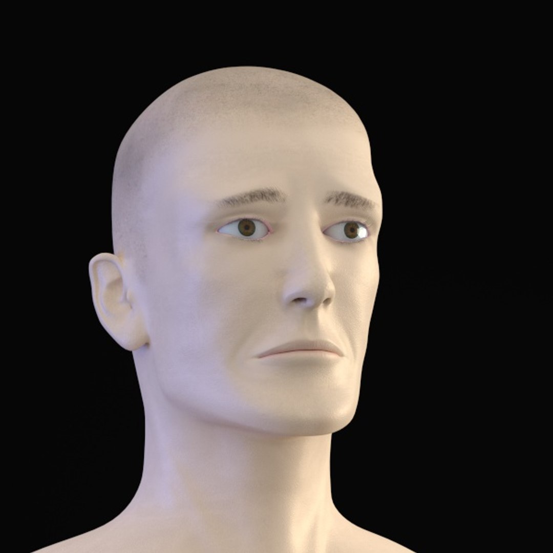 3d Model Peter Male Character