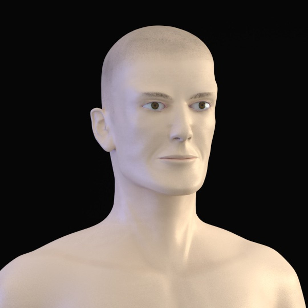 3d Model Peter Male Character