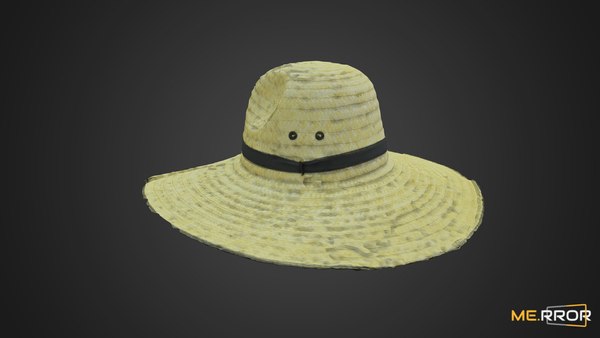 3D model Summer Straw Hat - TurboSquid 2015025