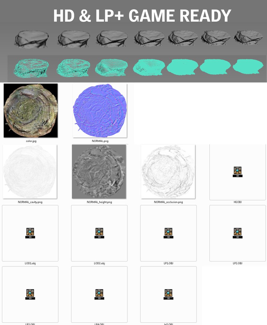 Geyser Scan Model - TurboSquid 1627871