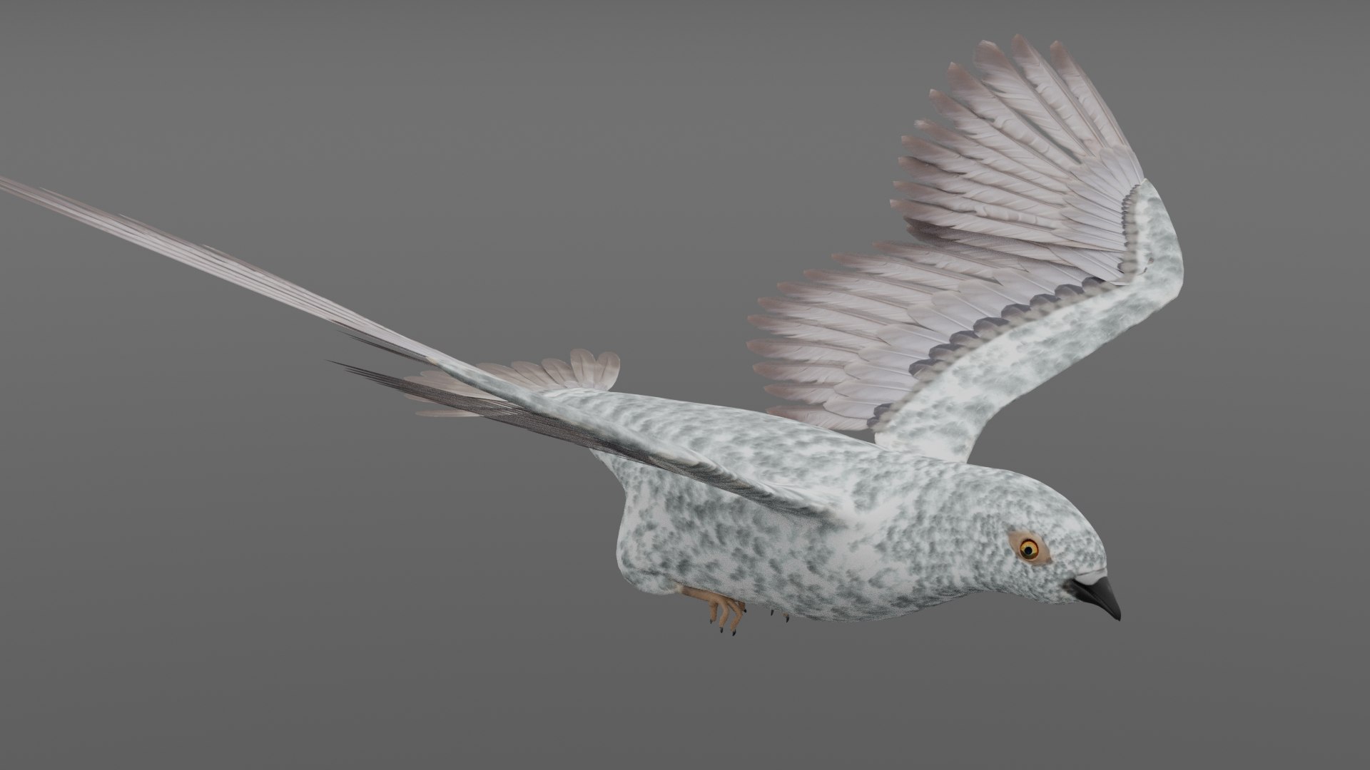 3D Rigged Pigeon Model - TurboSquid 1432351