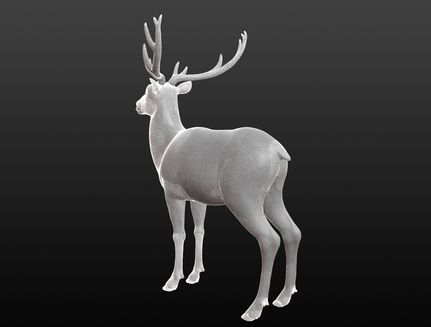 Deer Base Mesh 3D Model - TurboSquid 1419260