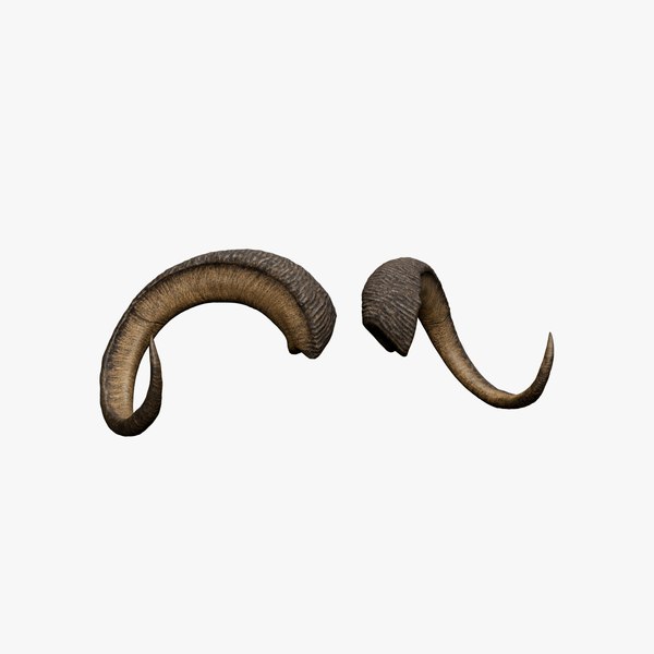 Animal Horns 3D Models for Download | TurboSquid