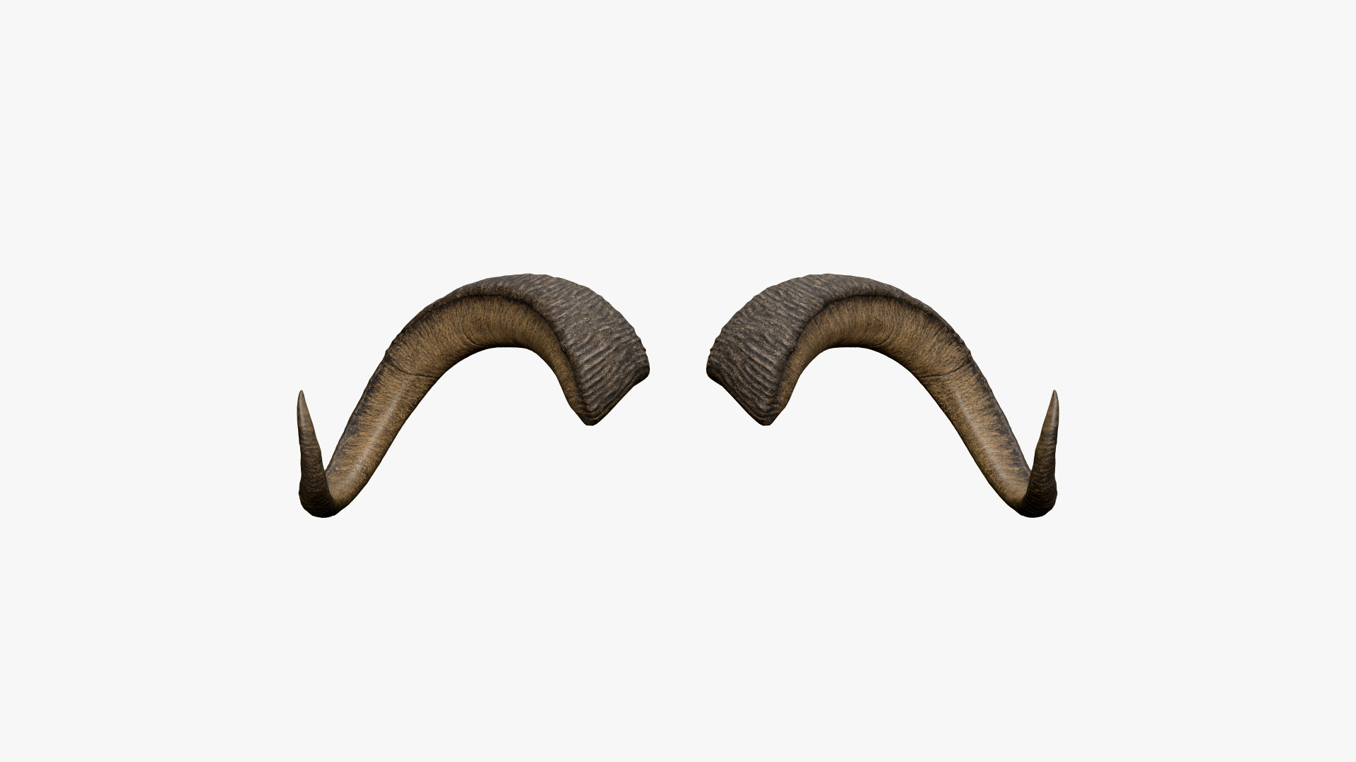 Horn V6 3D Model - TurboSquid 1744037