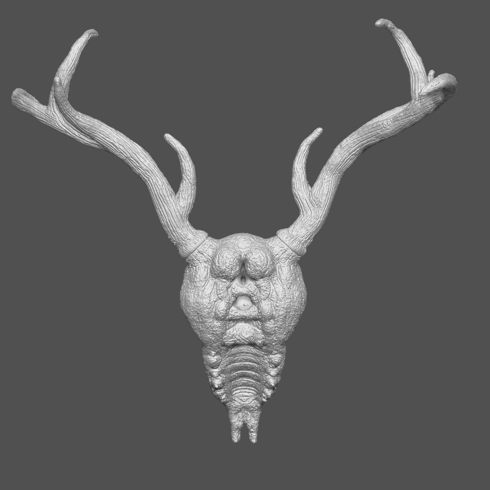 3D skull stag - TurboSquid 1690573