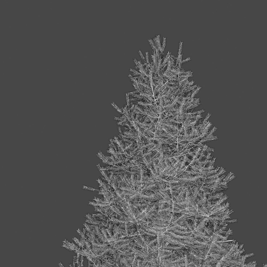3d model spruce tree