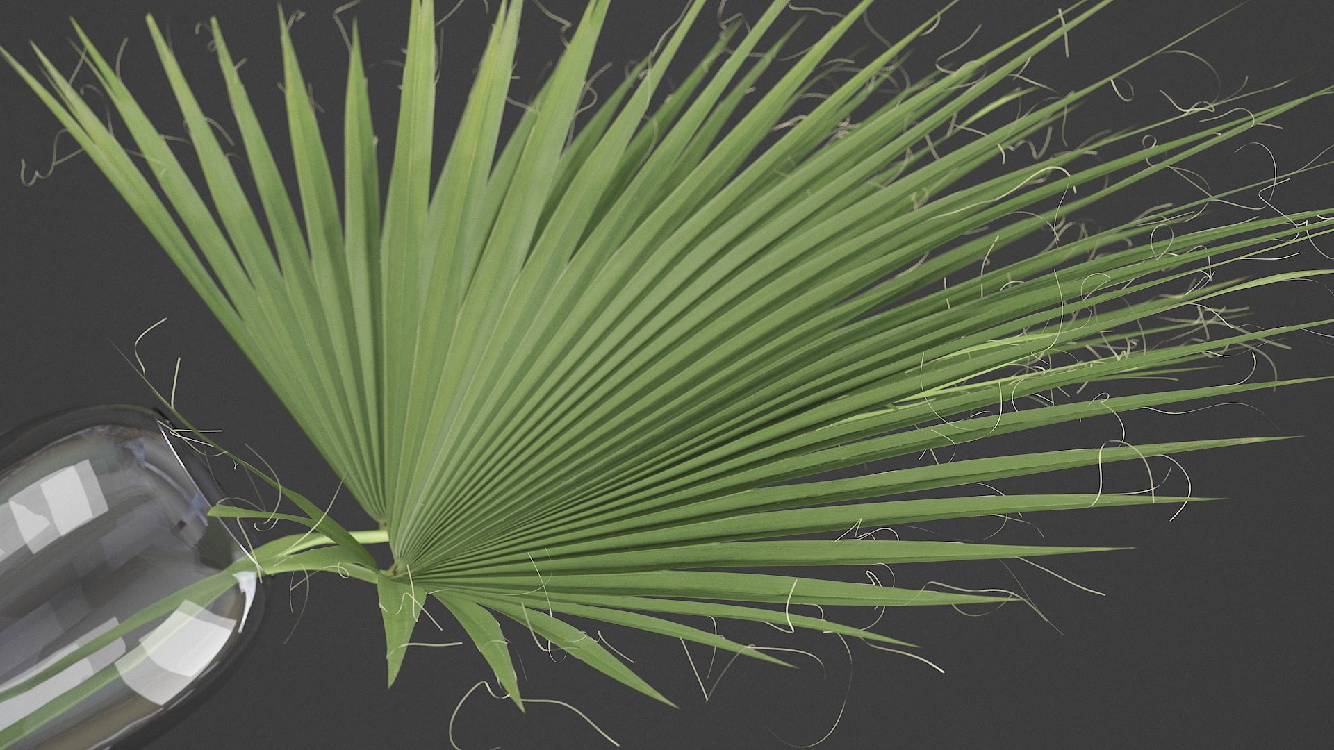 Palm Leaves 3D Model - TurboSquid 1631370