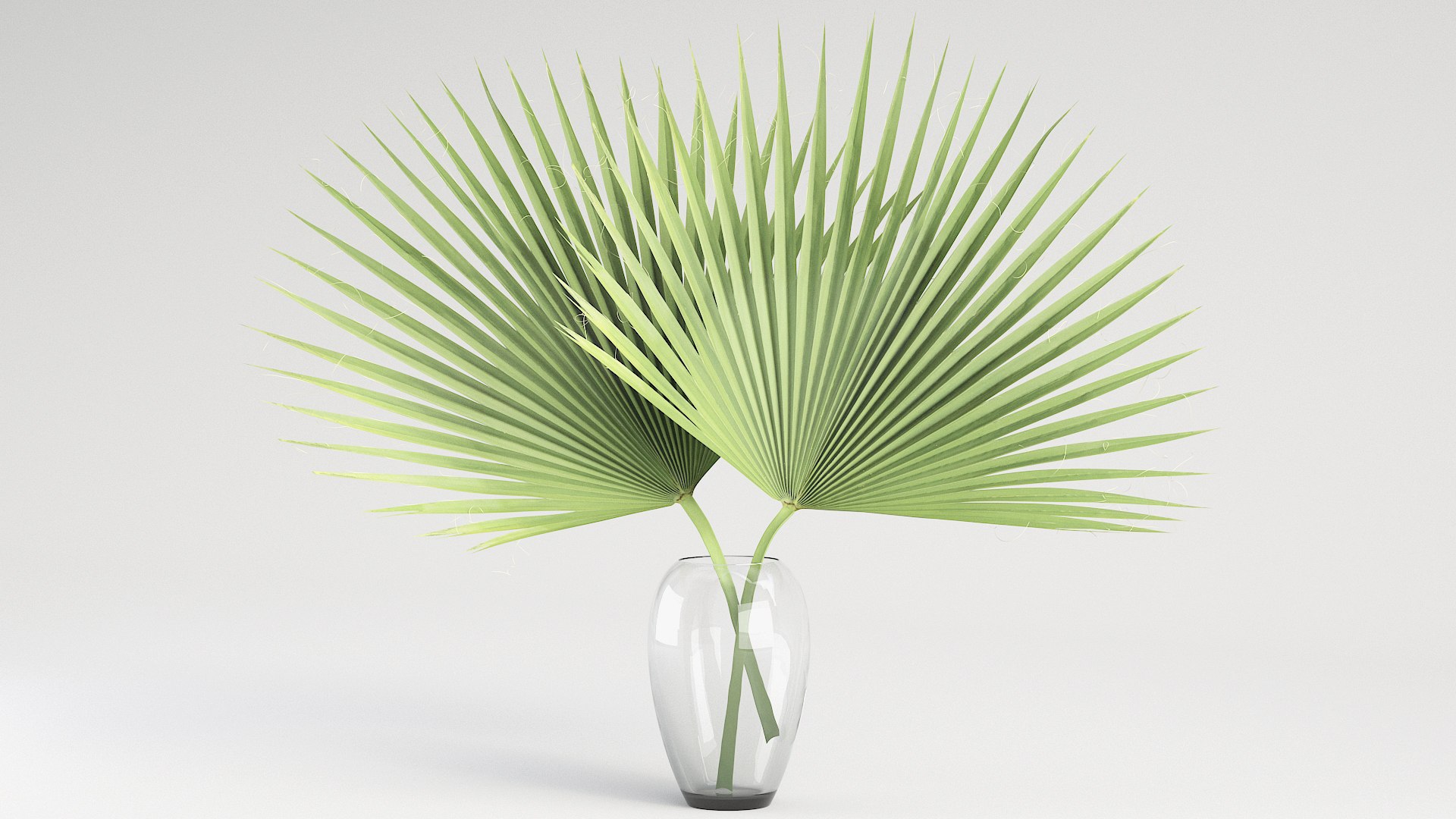 Palm Leaves 3D Model - TurboSquid 1631370