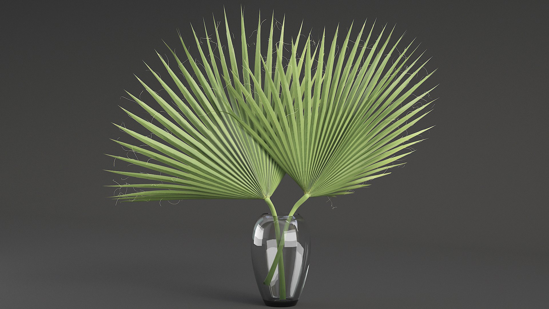 Palm Leaves 3D Model - TurboSquid 1631370