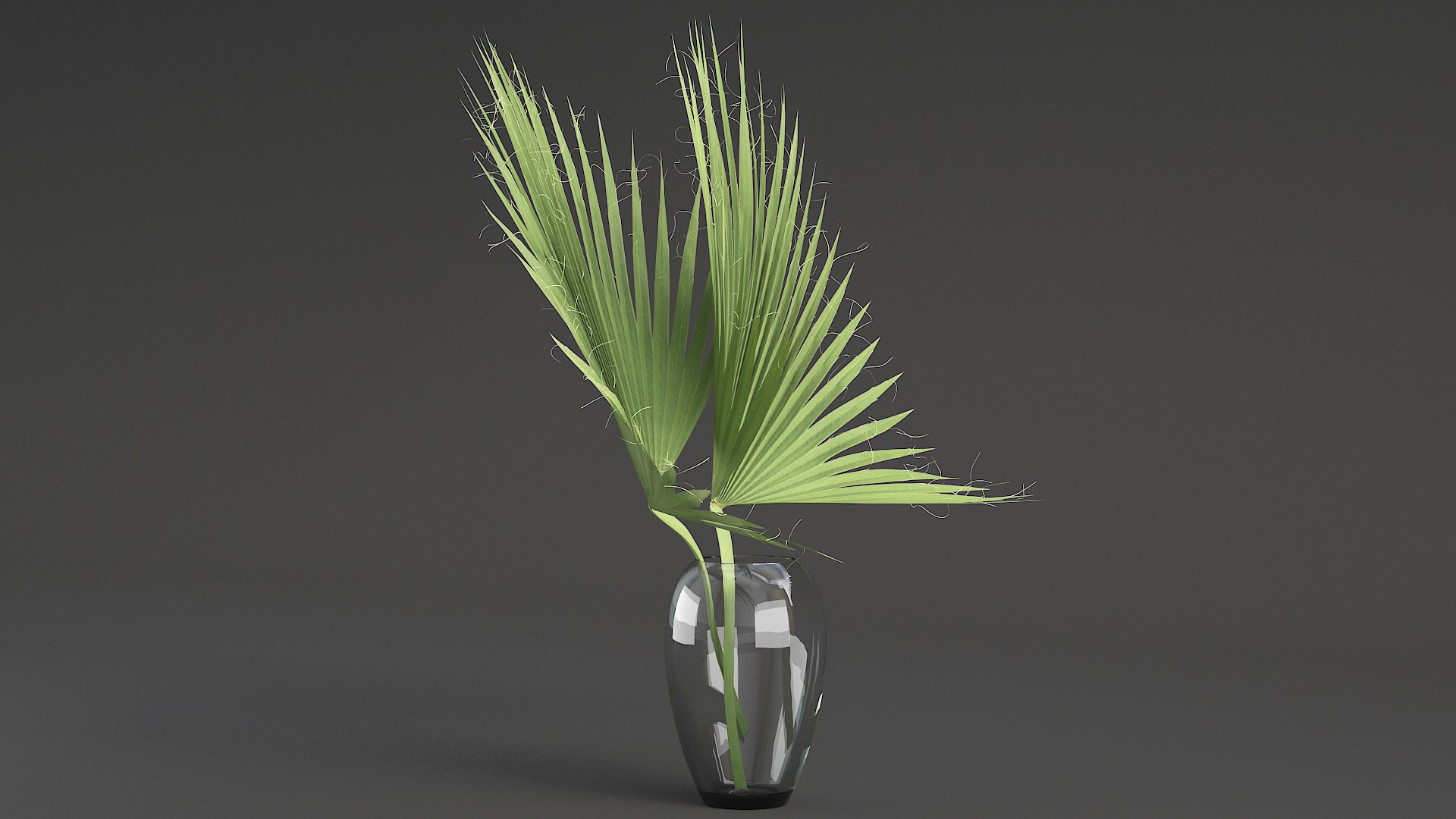 Palm Leaves 3D Model - TurboSquid 1631370
