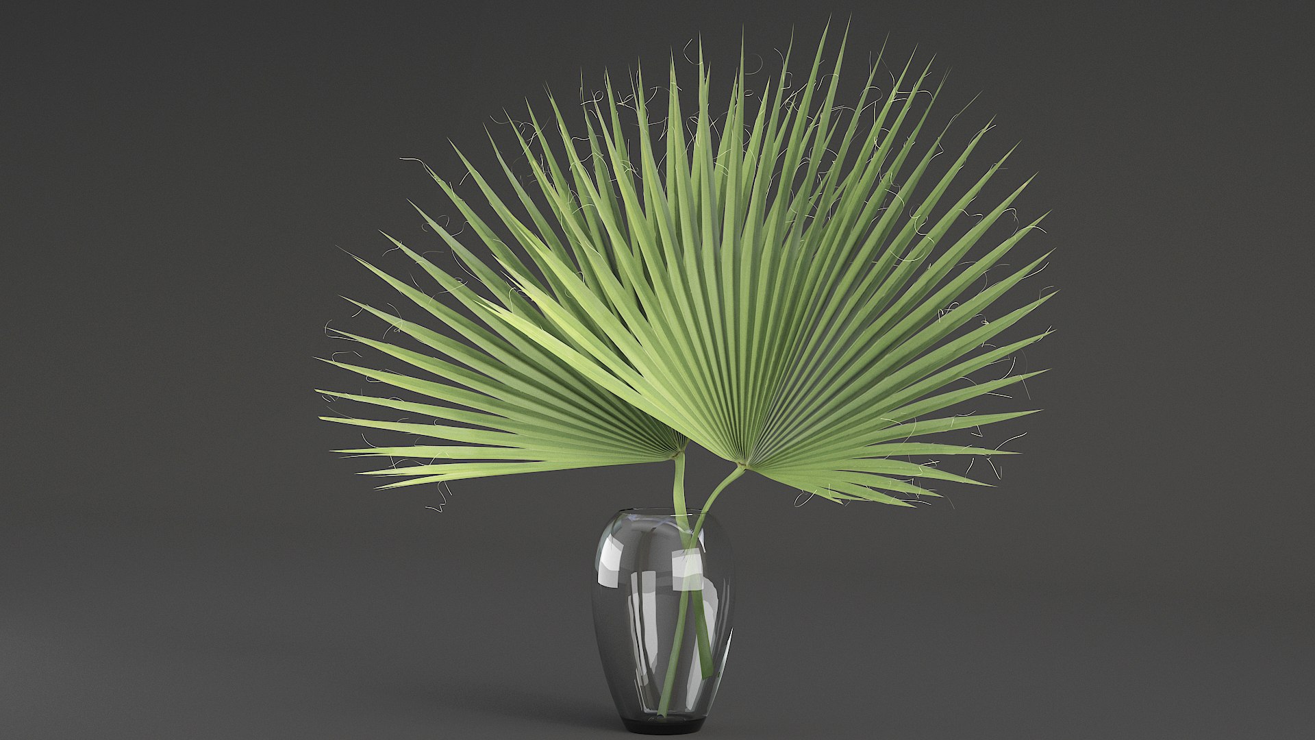 Palm Leaves 3D Model - TurboSquid 1631370